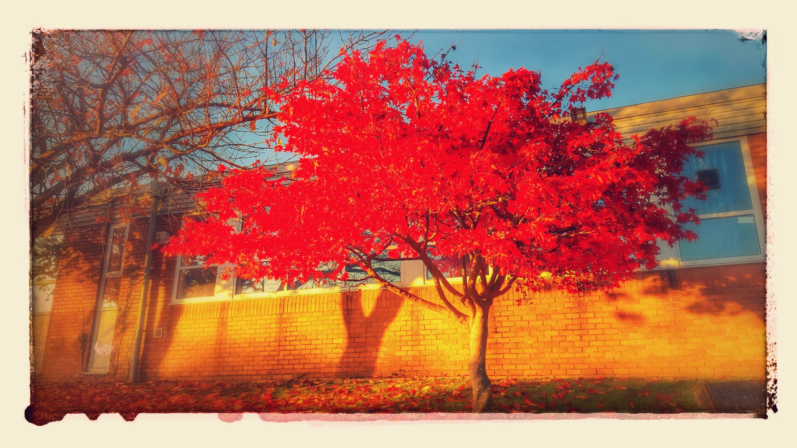 Radyr Comprehensive School – Respect – Commitment – Success | Parch ...